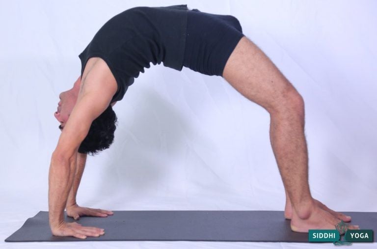 Yoga for Healing: 7 Poses to Heal From the Inside Out