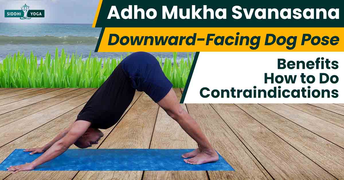 How to Do Adho Mukha Svanasana Downward: Facing Dog Pose