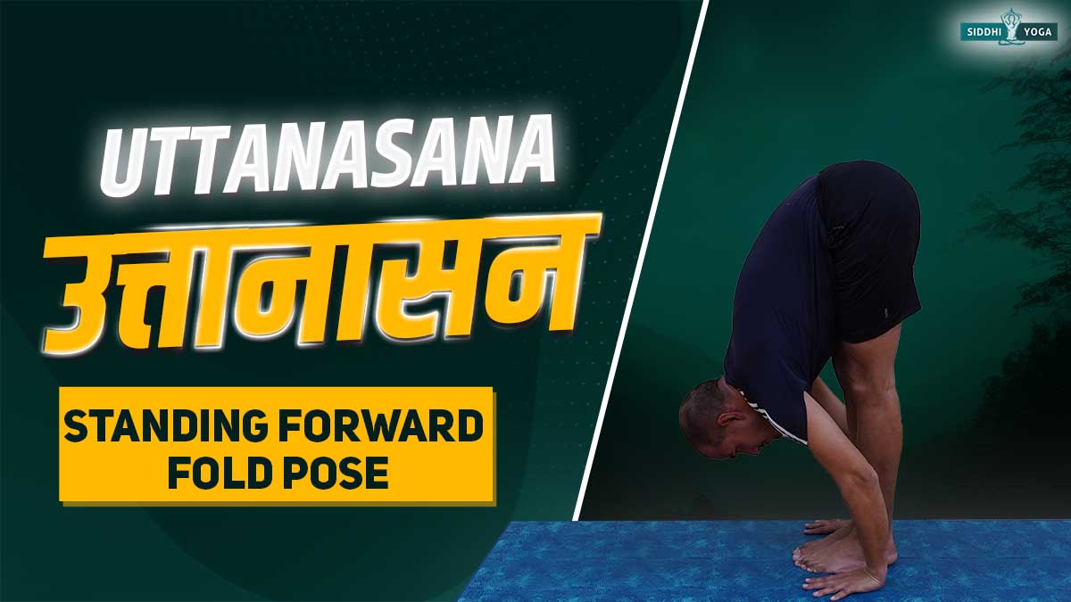 Standing Forward Bend Pose Standing Forward Bend: Is It As Simple As