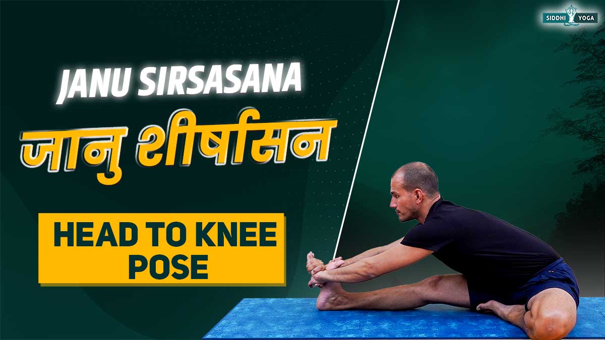 Janu Sirsasana Cabeza A Rodilla