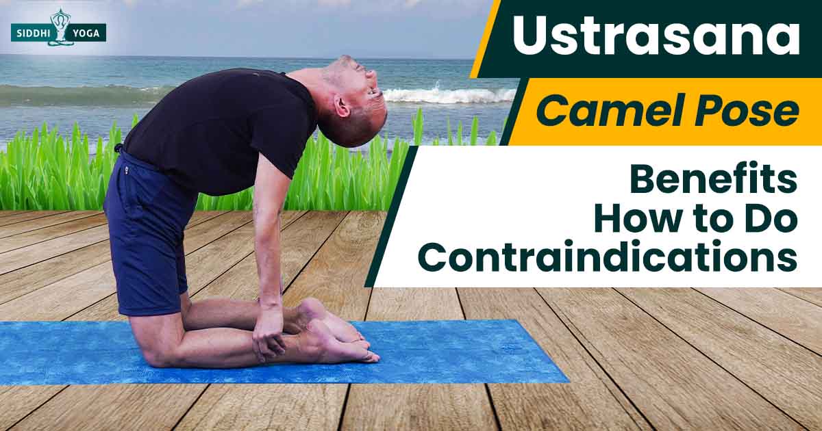 Ustrasana or Camel Pose: Benefits & How to Do