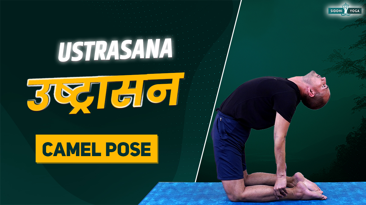 Ustrasana Camel Pose Beautiful Girl Practice Ustrasana Stock