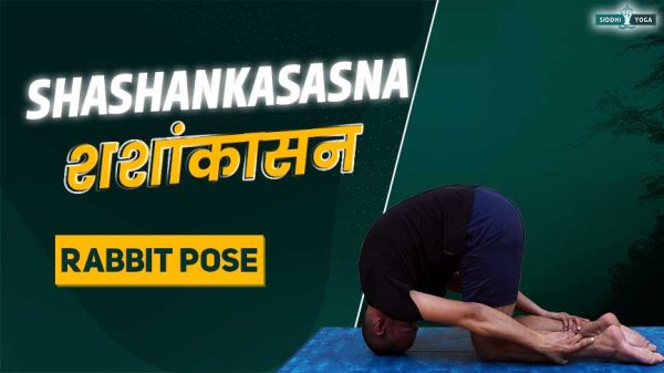 Benefits of Shashankasana (Rabbit Pose) | Siddhi Yoga