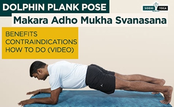Makara Adho Mukha Svanasana (Dolphin Plank Pose) How to Do, Benefits