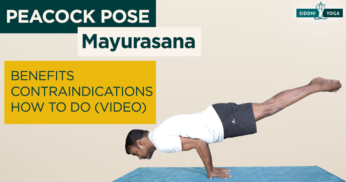 Mayurasana
