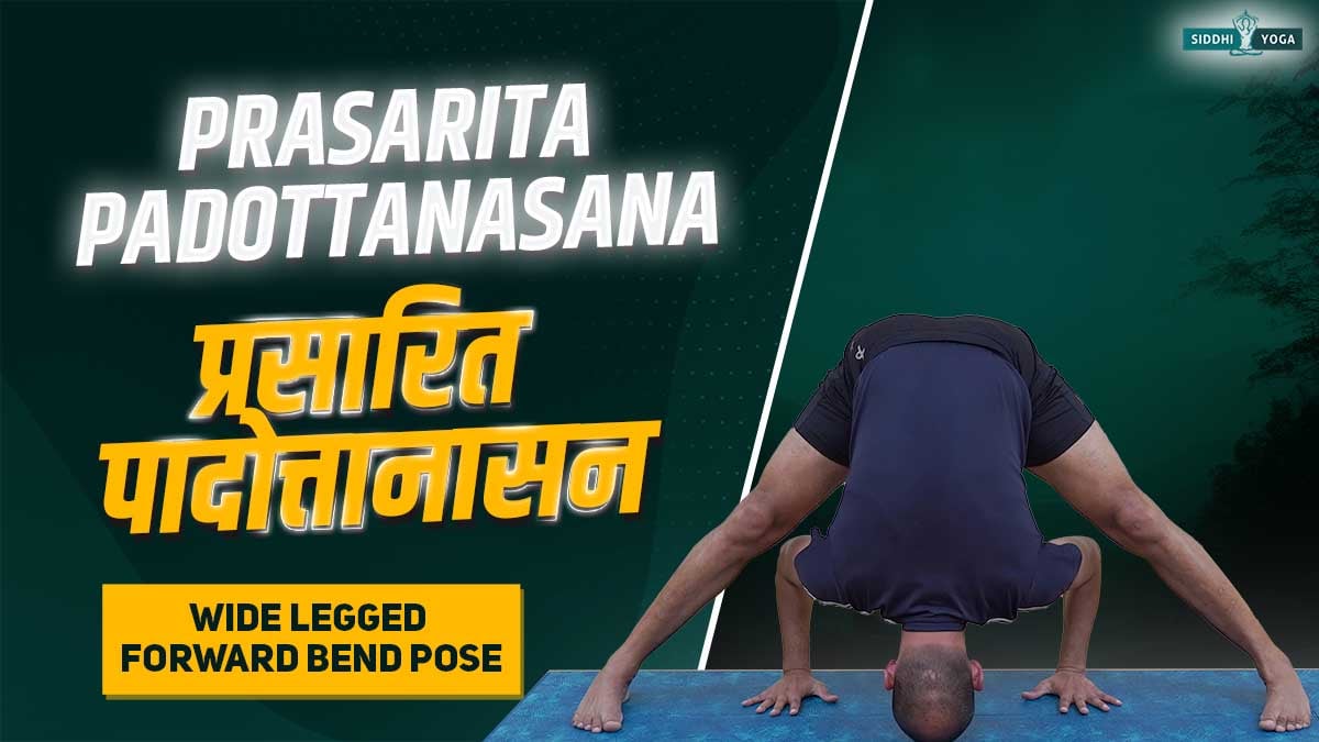 Wide Legged Forward Bend Pose Wide Legged Forward Bend (Prasarita
