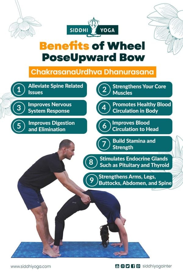 Benefits of Urdhva Dhanurasana (Wheel Pose) | Siddhi Yoga