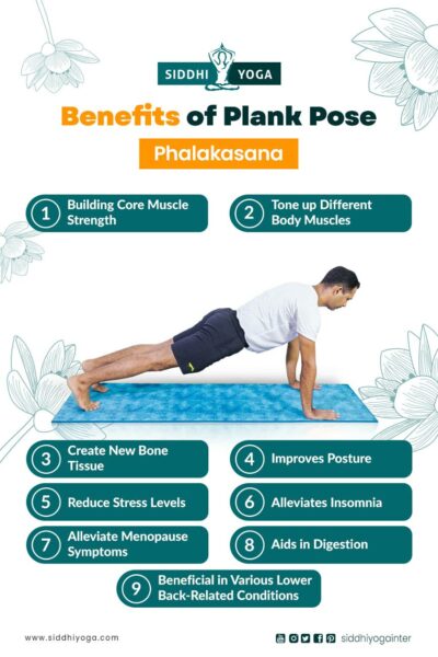 Phalakasana or Plank Pose