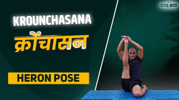 Krounchasana (Heron Pose) Benefits & How to Do