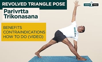 Parivrtta Trikonasana (Revolved Triangle Pose) Benefits, How to Do