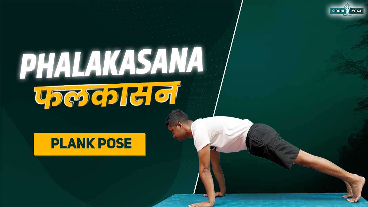 Phalakasana (pose de planches) - Conseils et avantages | Yoga siddhi
