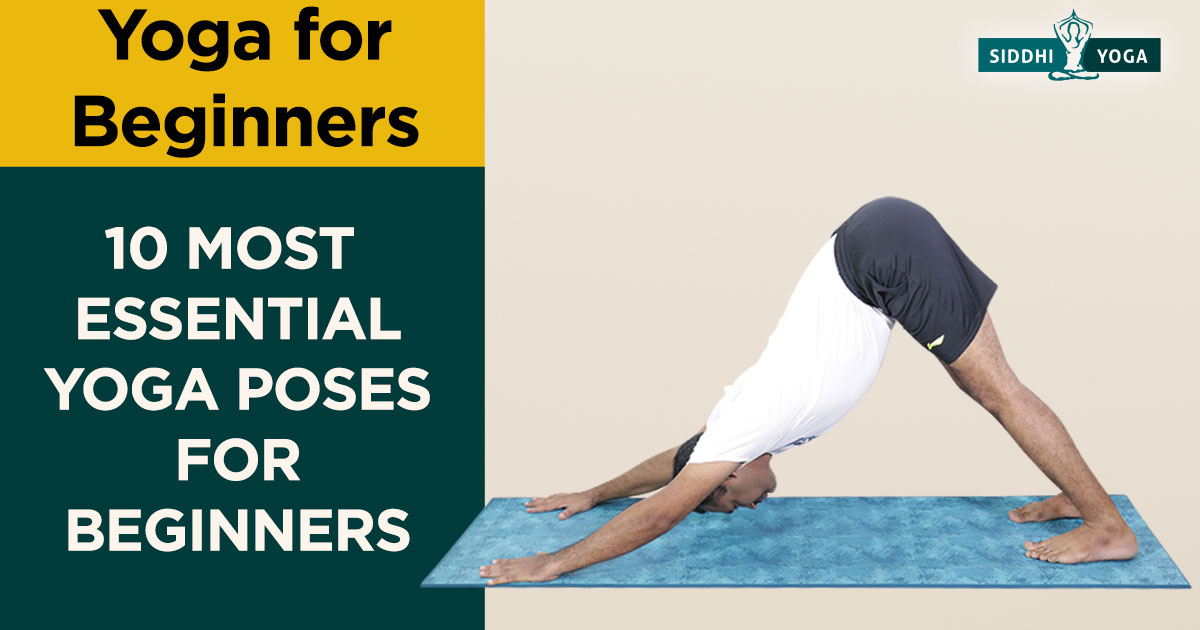 10 Most Essential Yoga Poses for Beginners | Siddhi Yoga