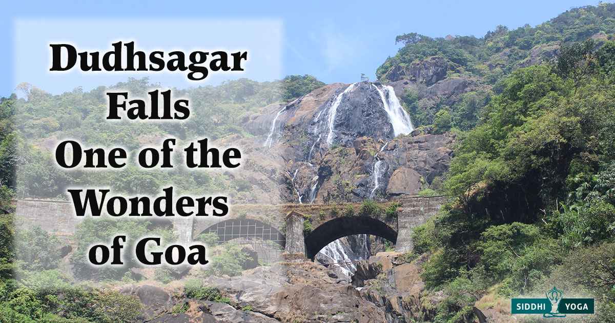 Dudhsagar Falls: Everything You Must Know before Visiting