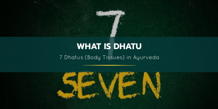 What is Dhatu | Concepts of Dhatu (Body Tissues) in Ayurveda