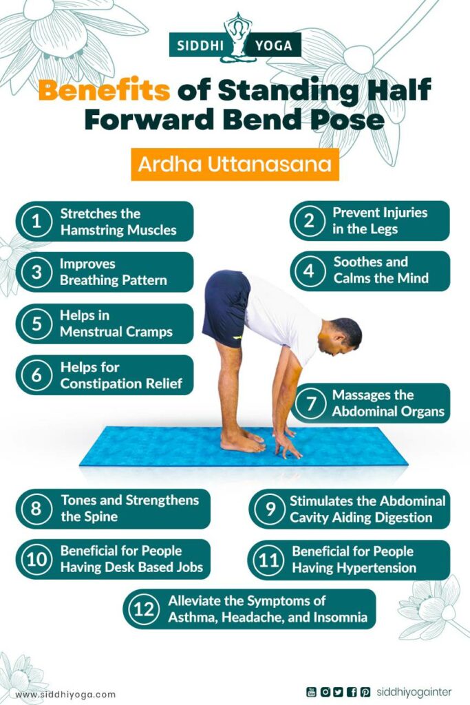 Ardha Uttanasana (Standing Half Forward Bend) Benefits