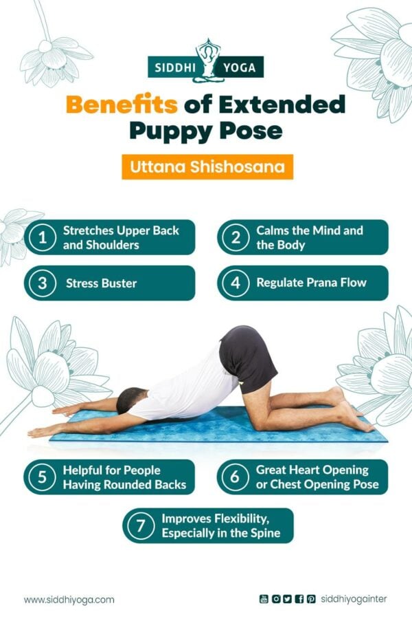 Benefits of Uttana Shishosana for Beginners | Siddhi Yoga