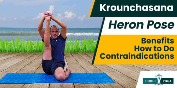 Krounchasana (Heron Pose) Benefits, Contraindications & How to Do