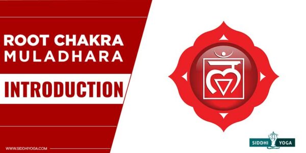 Intro to Root Chakra: Meaning, Symbol, Location & Color of Muladhara