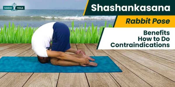Shashankasana or Rabbit Pose