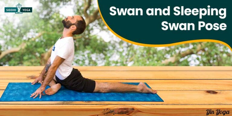 the Swan and Sleeping Swan Poses in Yin Yoga