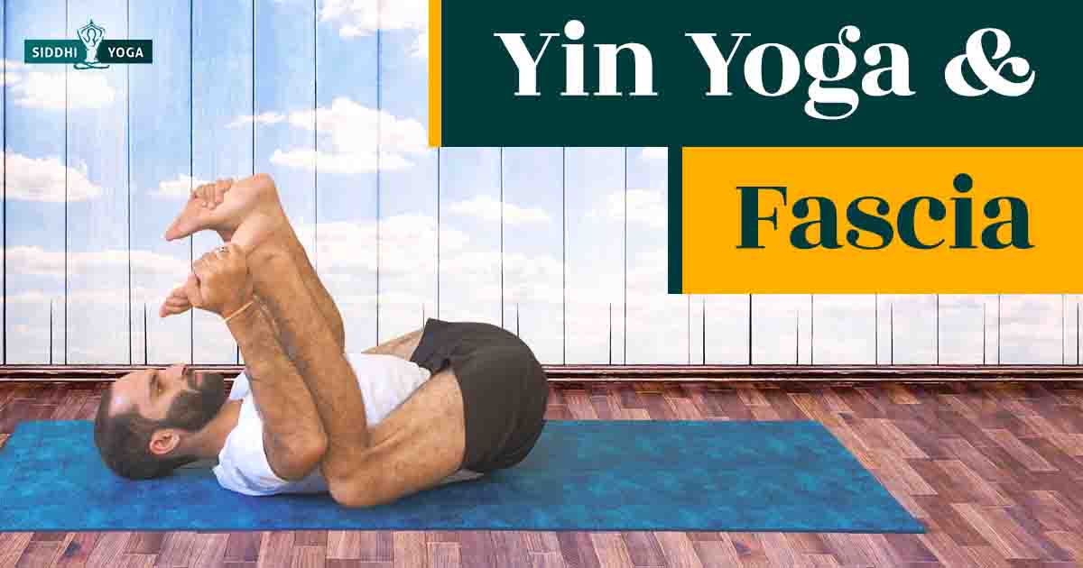 How Yin Yoga Supports Fascia Release and Flexibility