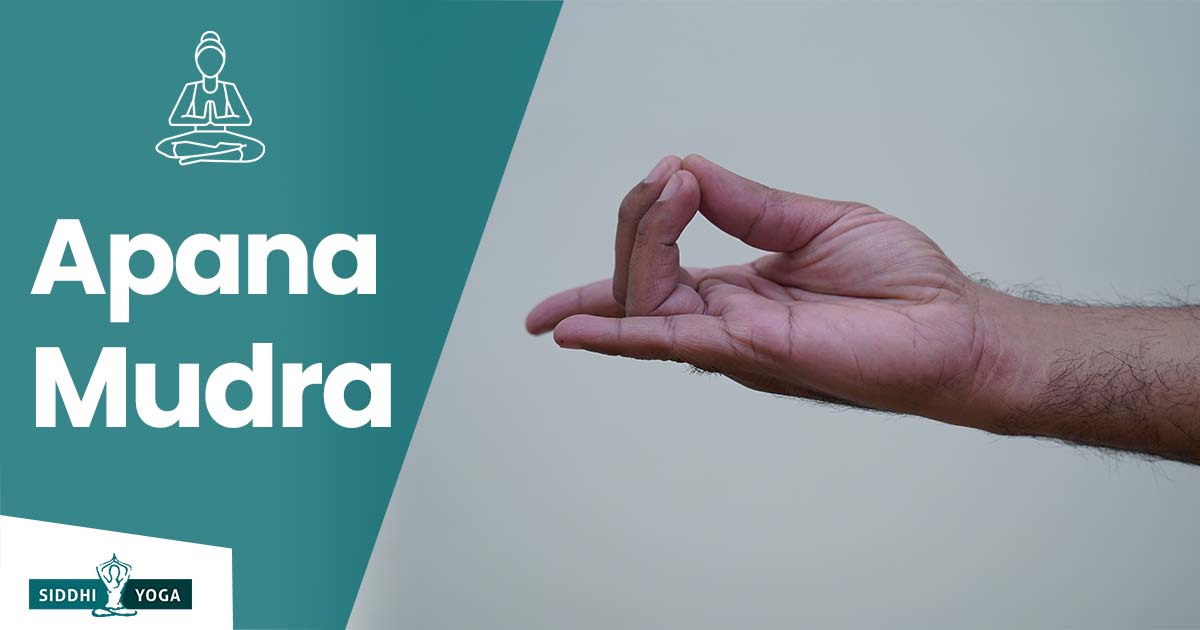 Apana Mudra: Its Meaning, Benefits & How To Do | Siddhi Yoga