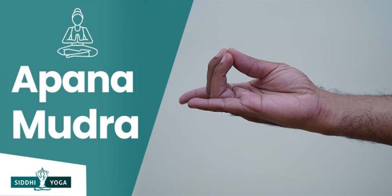 Apana Mudra: Its Meaning, Benefits & How To Do | Siddhi Yoga