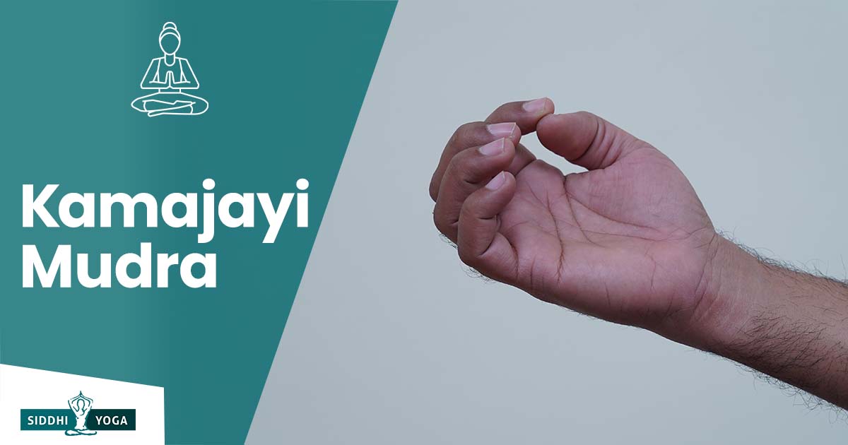 Kamajayi Mudra: Meaning, Benefits, & How to Do | Siddhi Yoga