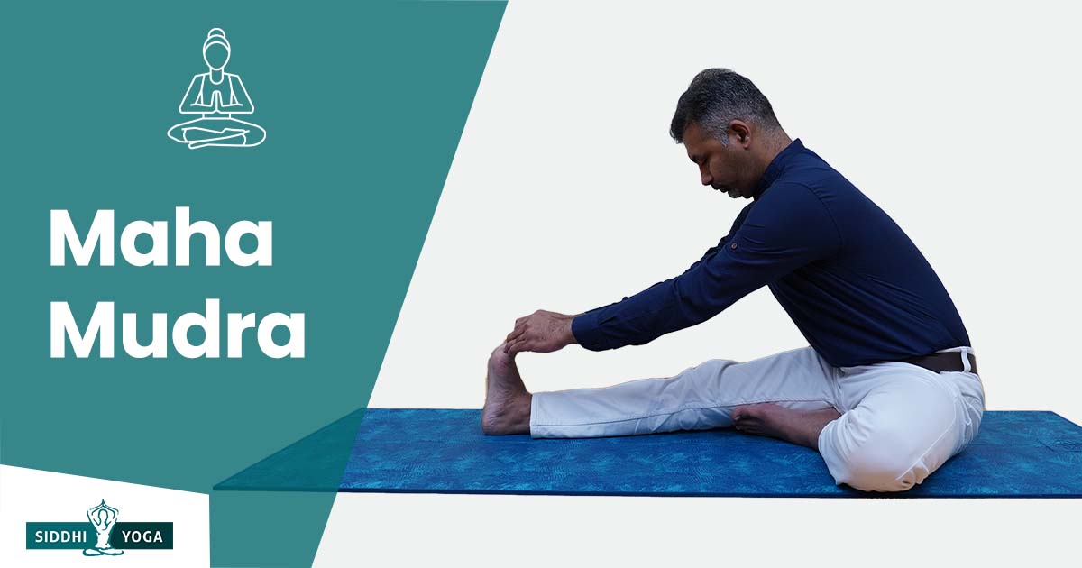 MAHA MUDRA: Signification, avantages et comment faire | Yoga siddhi