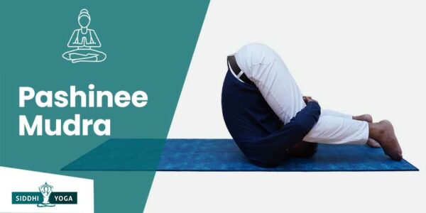 Pashinee Mudra: Meaning, Benefits, & How to Do | Siddhi Yoga