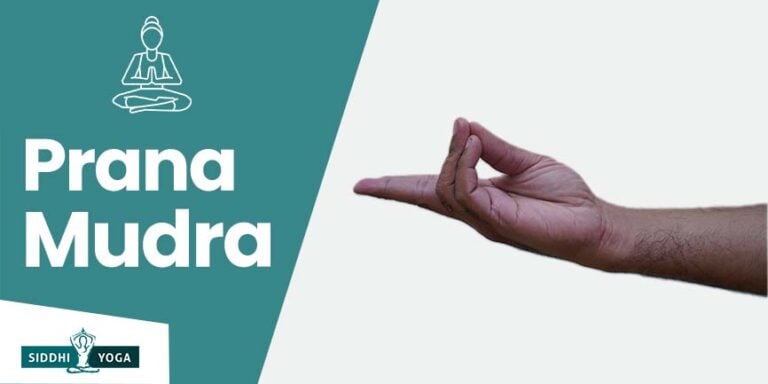 Prana Mudra : signification, avantages et comment faire | Siddhi-Yoga