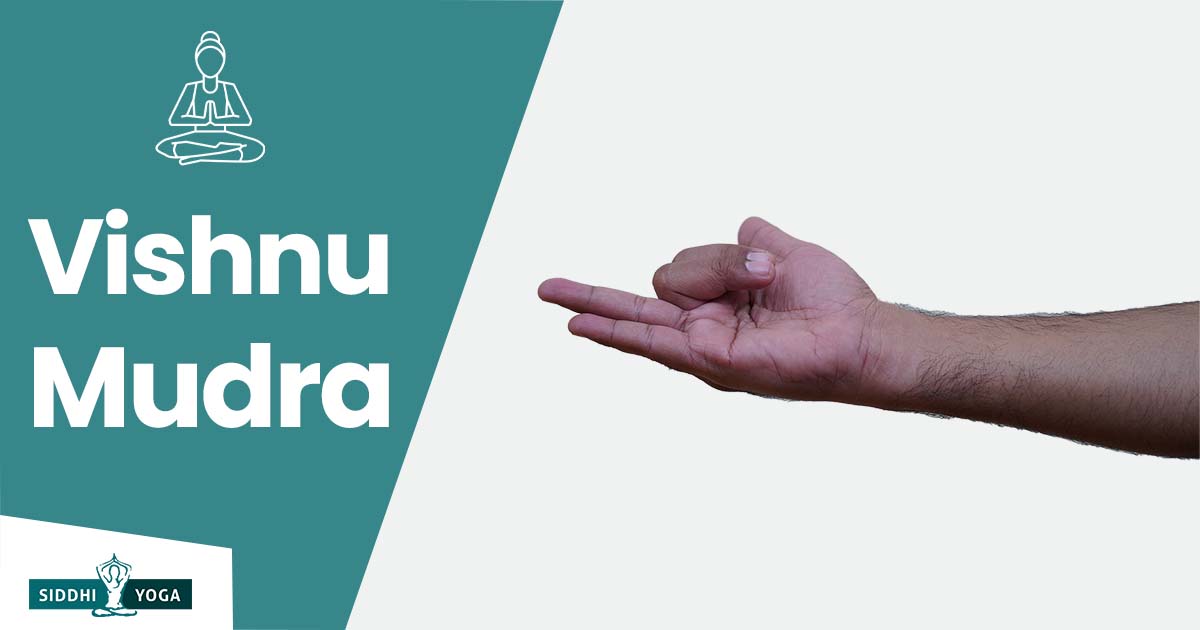 Vishnu Mudra: Its Meaning, Benefits & How To Do| Siddhi Yoga