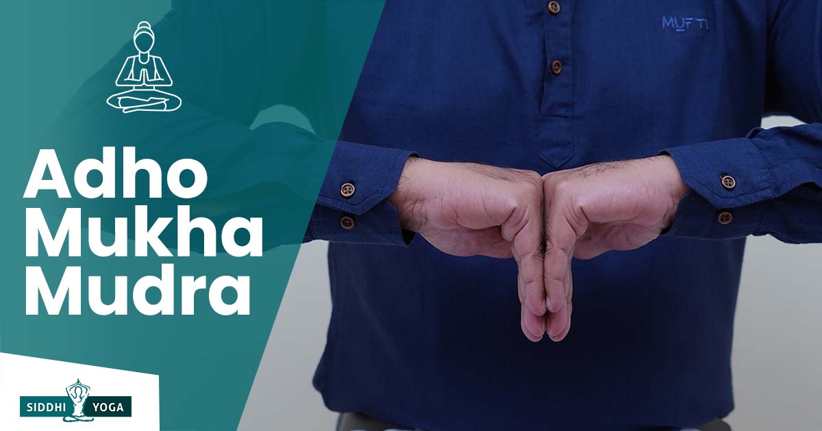 Benefits and Practice Tips for Adho Mukha Mudra: Siddhi Yoga