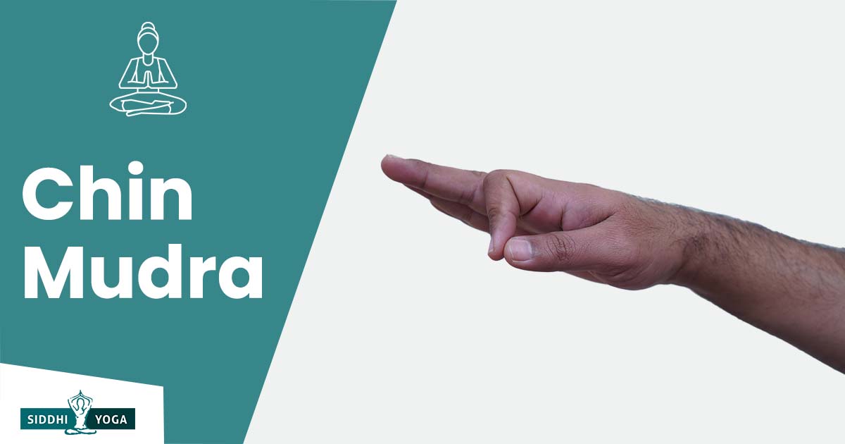 Chin Mudra: Meaning, Benefits & How to Do | Siddhi Yoga
