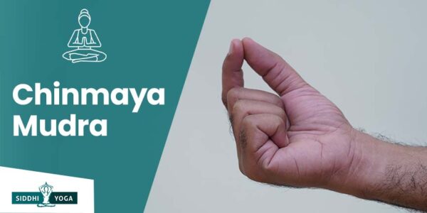 Chinmaya Mudra: Meaning, Benefits & How to Do | Siddhi Yoga