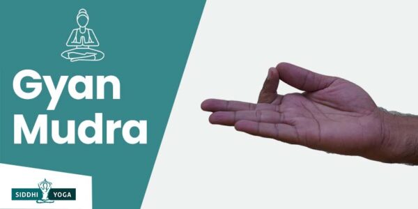 Gyan Mudra: Meaning, Benefits & How to Do | Siddhi Yoga