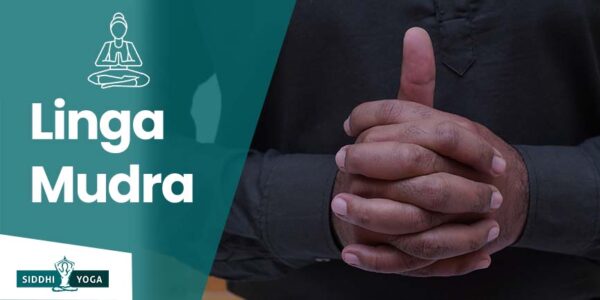 Linga Mudra: Meaning, Benefits, & How to Do | Siddhi Yoga