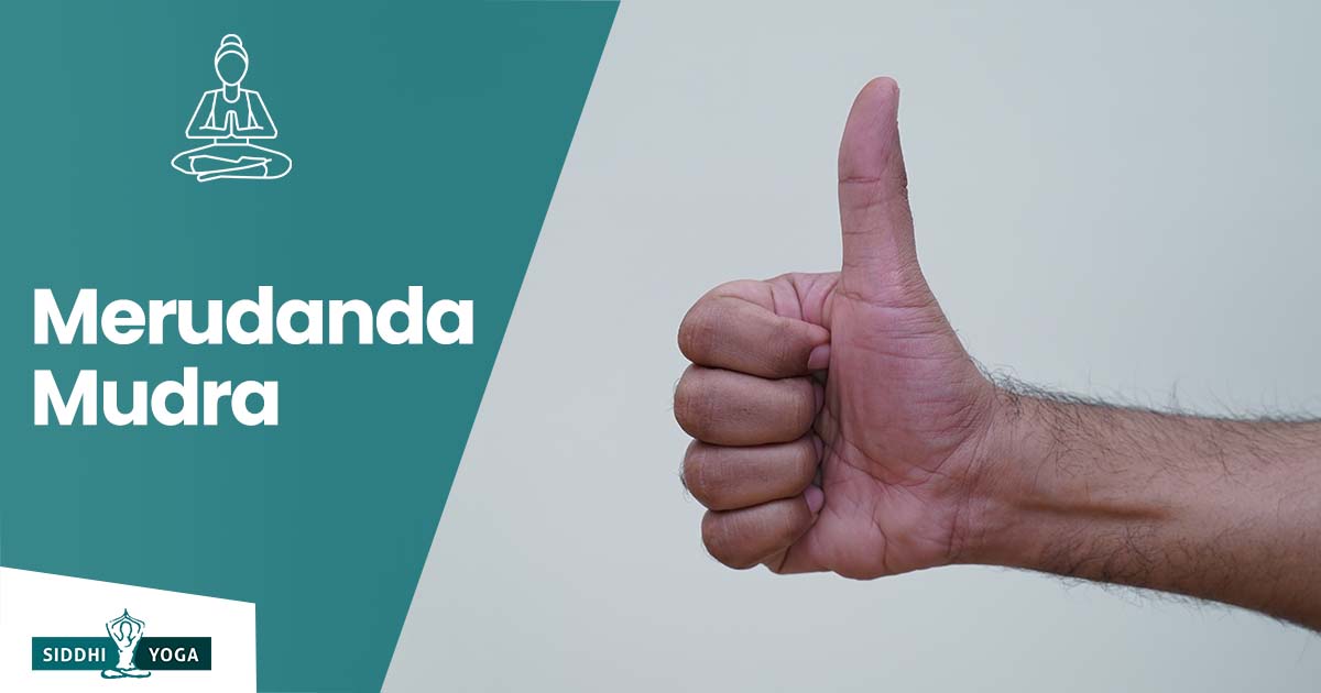 Merudanda Mudra: Meaning, Benefits & How to Do | Siddhi Yoga