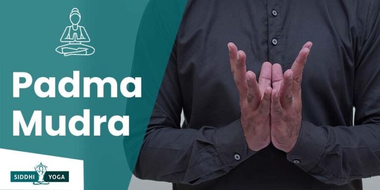 Padma Mudra : Signification, avantages et comment faire | Siddhi Yoga