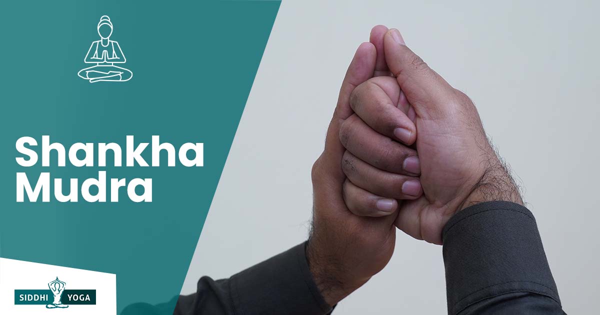 Shankha Mudra: Meaning, Benefits & How to Do | Siddhi Yoga