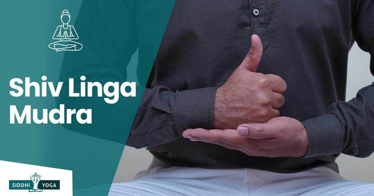 Shiva Linga Mudra: Meaning,Benefits & How to Do |Siddhi Yoga