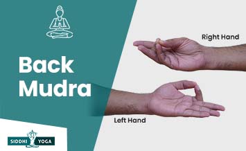 Yoga Mudra: Help You Harness The Power & Energy Of The Hands