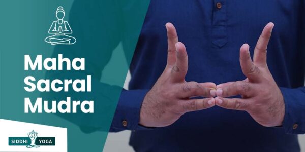Maha Sacral Mudra: Meaning and Benefits | Siddhi Yoga