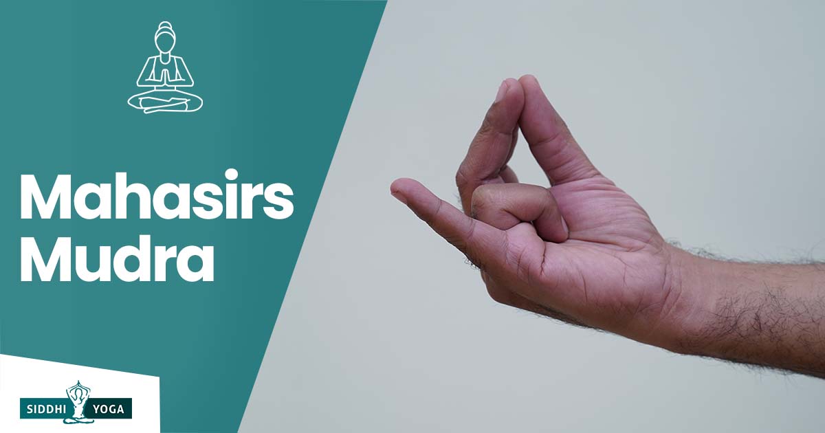 Mahasirs Mudra: Meaning, Benefits, & How to Do | Siddhi Yoga
