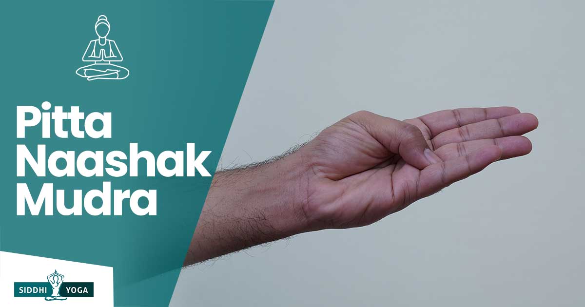 Pitta Naashak Mudra: Meaning and Benefits | Siddhi Yoga