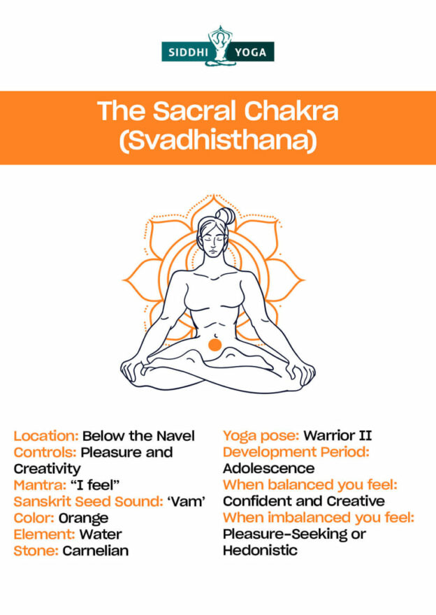 Les sept chakras principaux expliqués et leur importance | Siddhi-Yoga