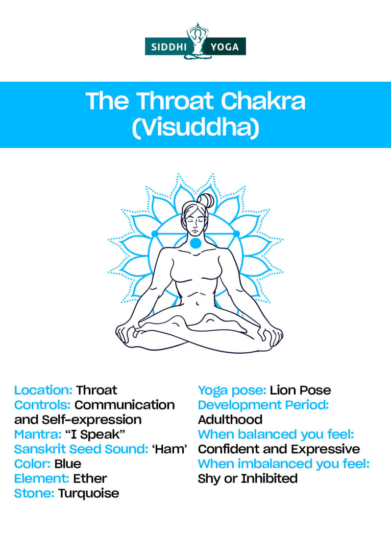 The Seven Main Chakras Explained & Importance | Siddhi Yoga