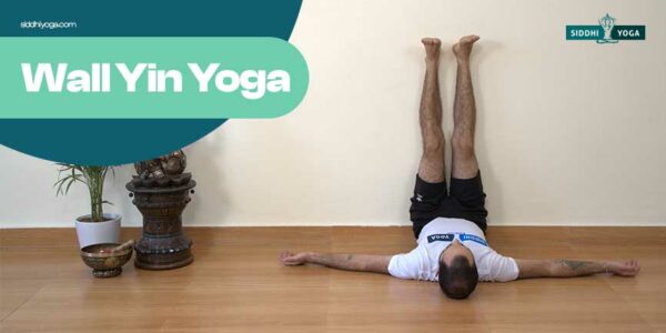 5 Reasons to Add Wall Yin Yoga to your Routine | Siddhi Yoga