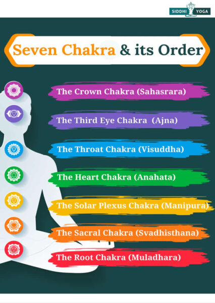 Correct Order of Chakras Importance of Chakra Order | Siddhi Yoga