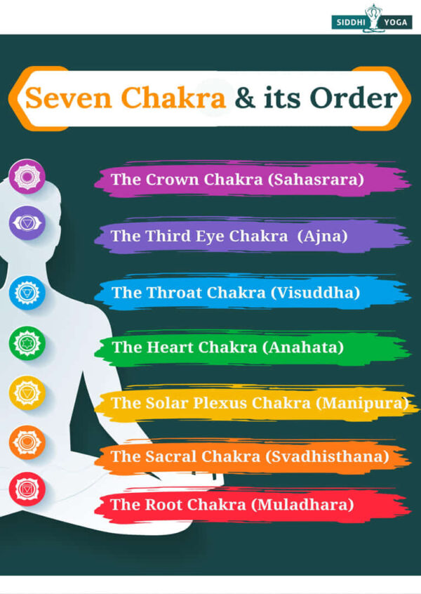 Correct Order of Chakras Importance of Chakra Order | Siddhi Yoga